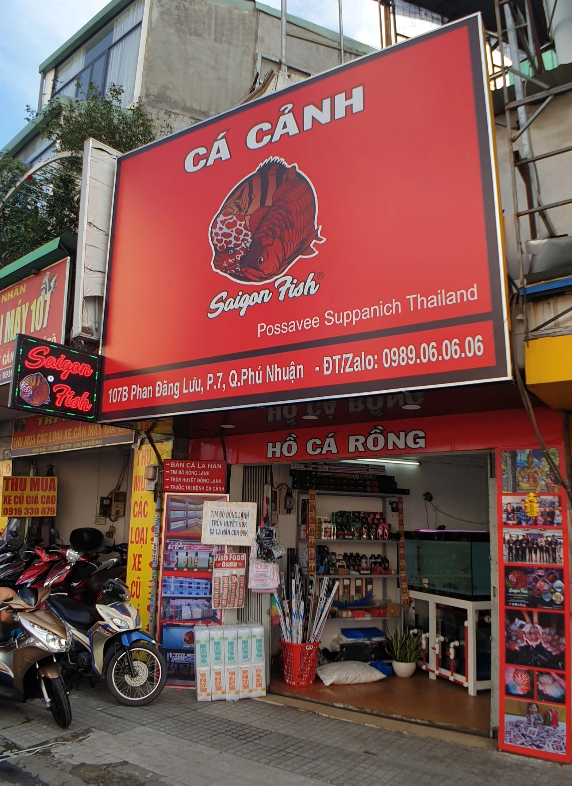 Saigon Fish - Bán Cá La Hán & Chuyên Các Loại Cá Cảnh